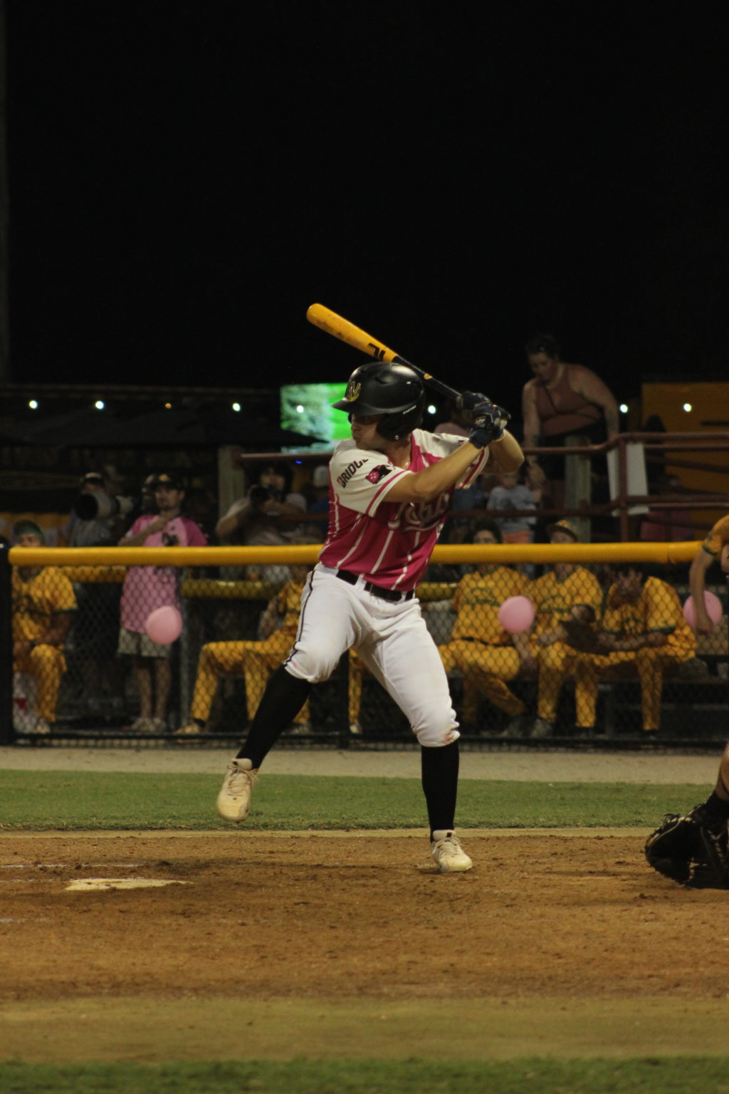 Tobs Hammer Yard Gnomes in Seven