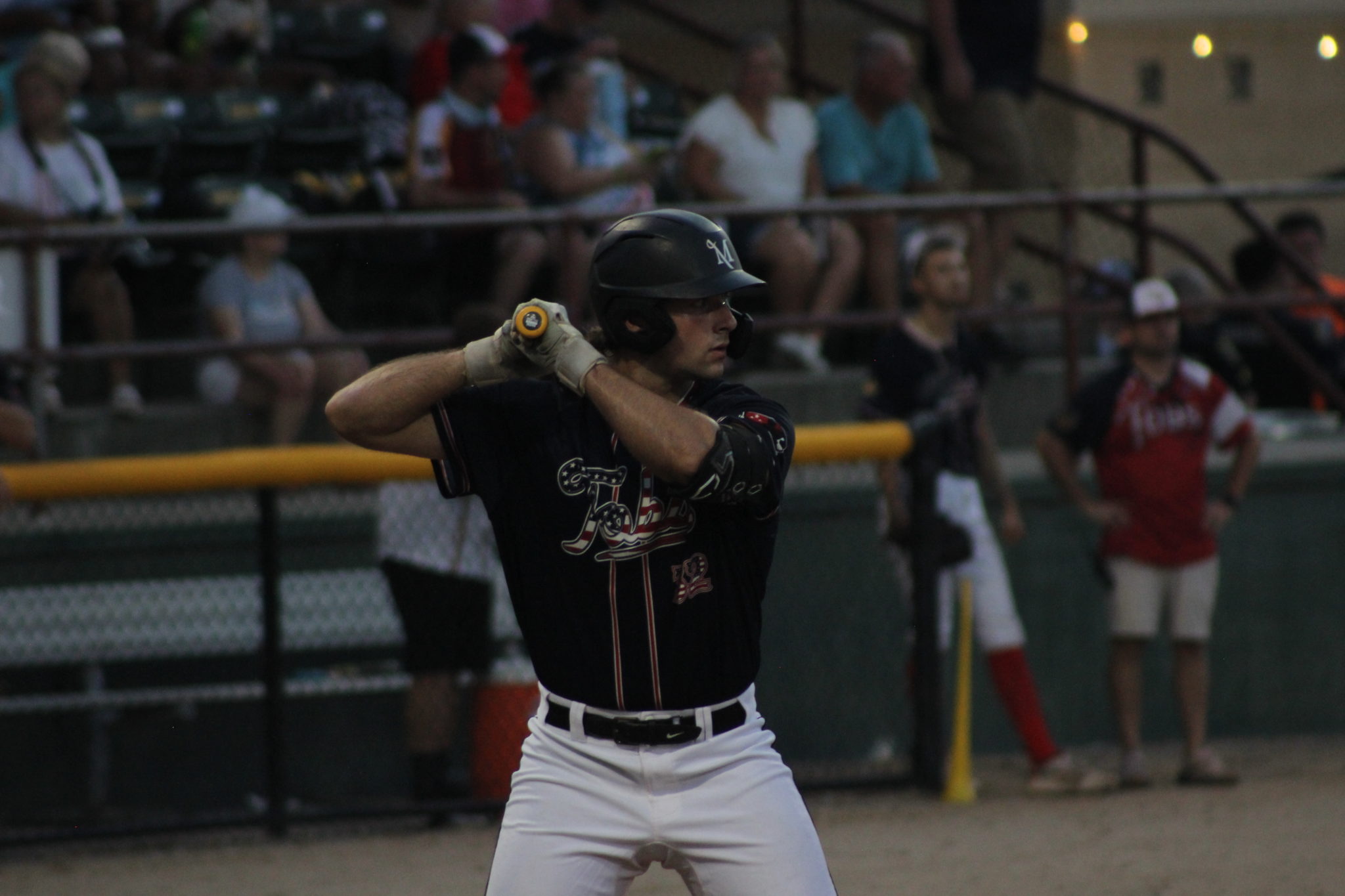 Tobs Light Up the Salamanders